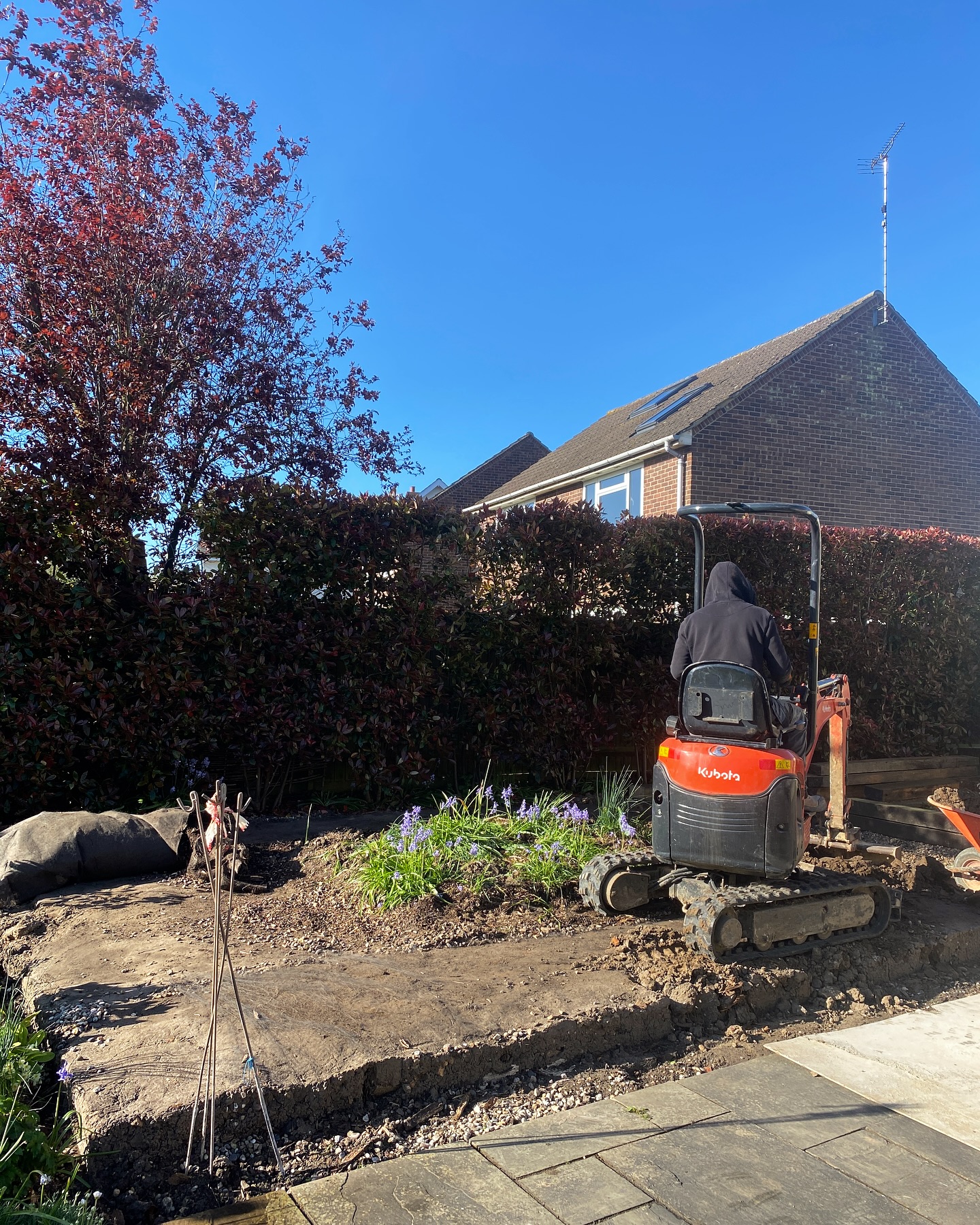 Summer Landscaping - BPM Garden Landscapes and Design